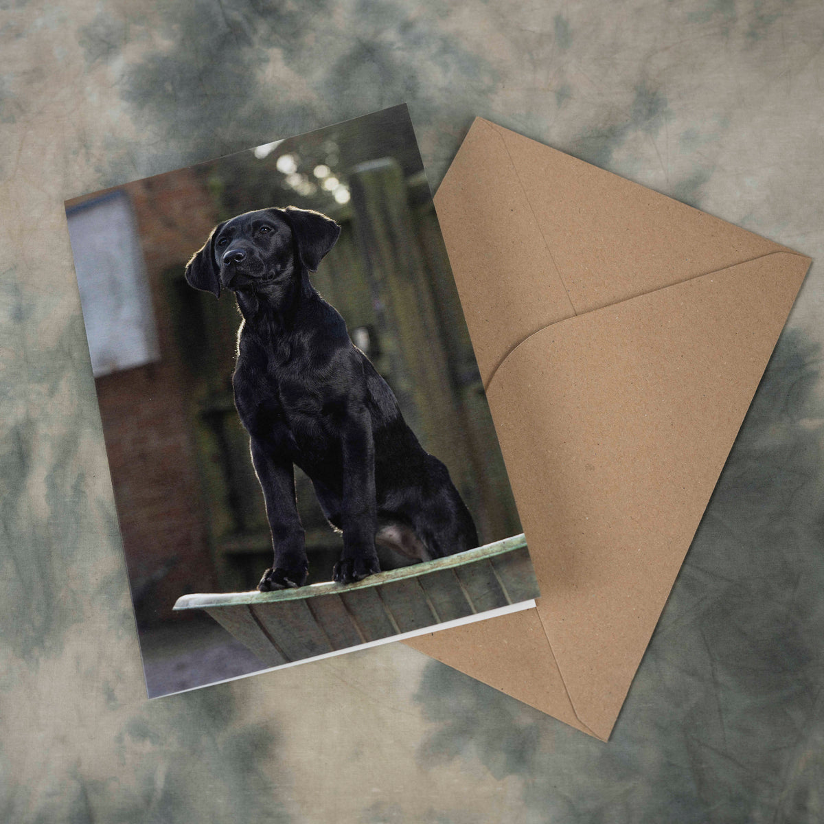 Product Title: Black Labrador Dog Greeting Card – A5 Size (Folded) | F ...