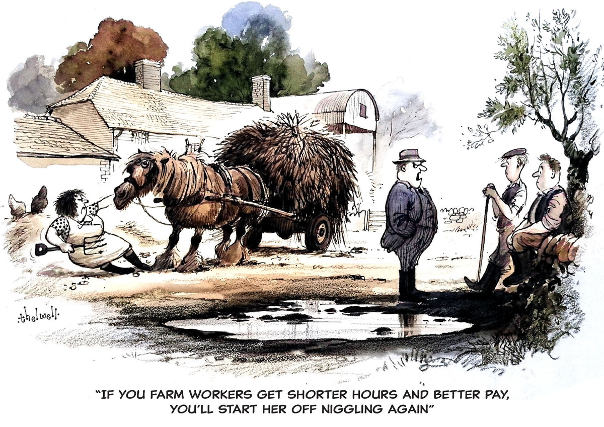 The Farmers Wife. Vintage humour greeting card by Thelwell ...