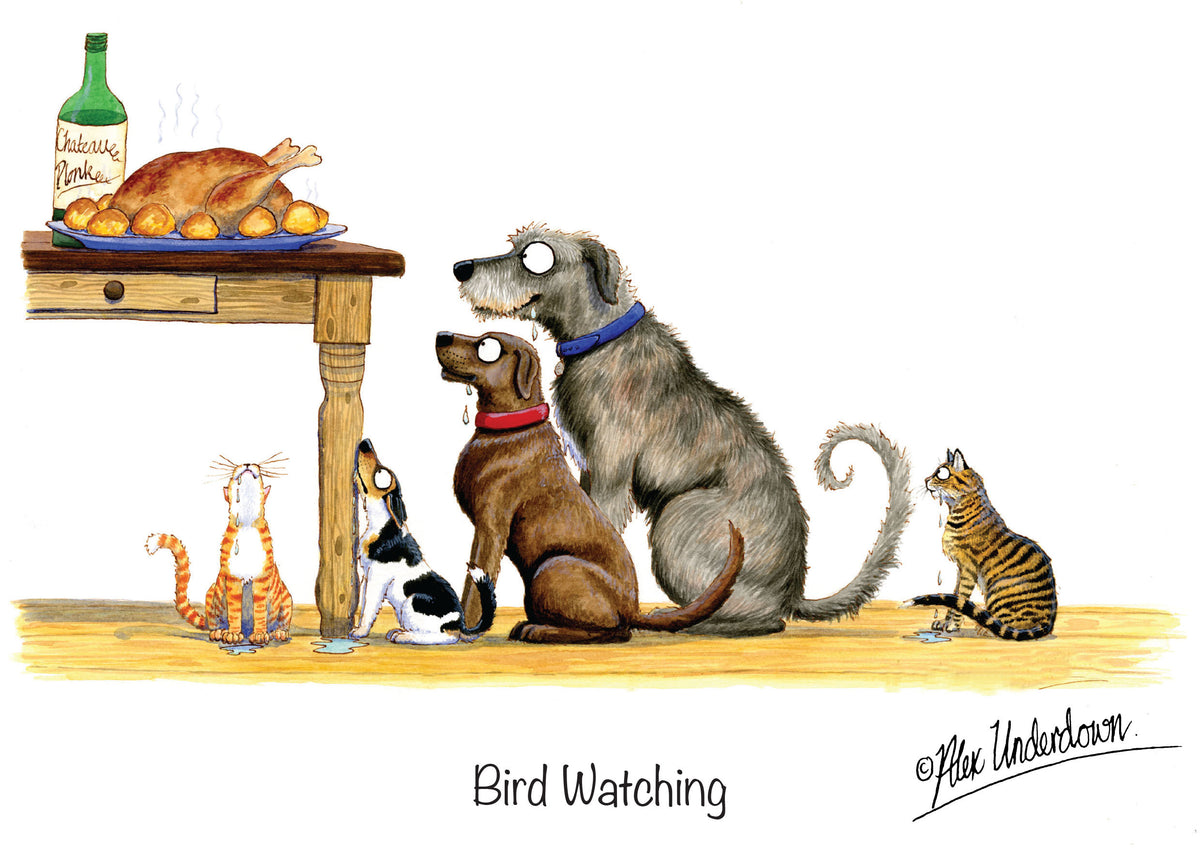 Dog and Cat greeting card "Bird Watching" by Alex Underdown ...