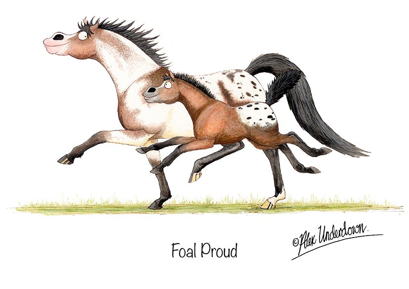 Horse greeting card "Foal Proud" by Alex Underdown. – CountrysideGreetings