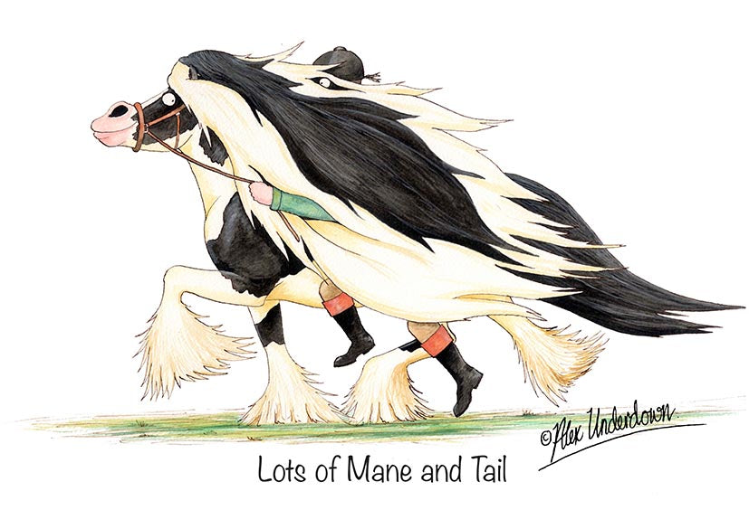 Horse greeting card "Lots of Mane and Tail" by Alex Underdown ...