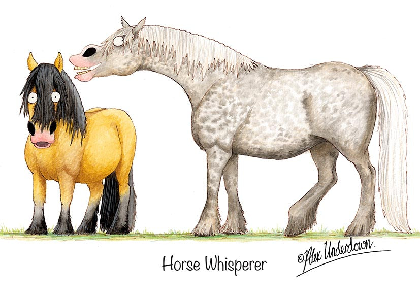 Horse greeting card "Horse Whisperer" by Alex Underdown ...