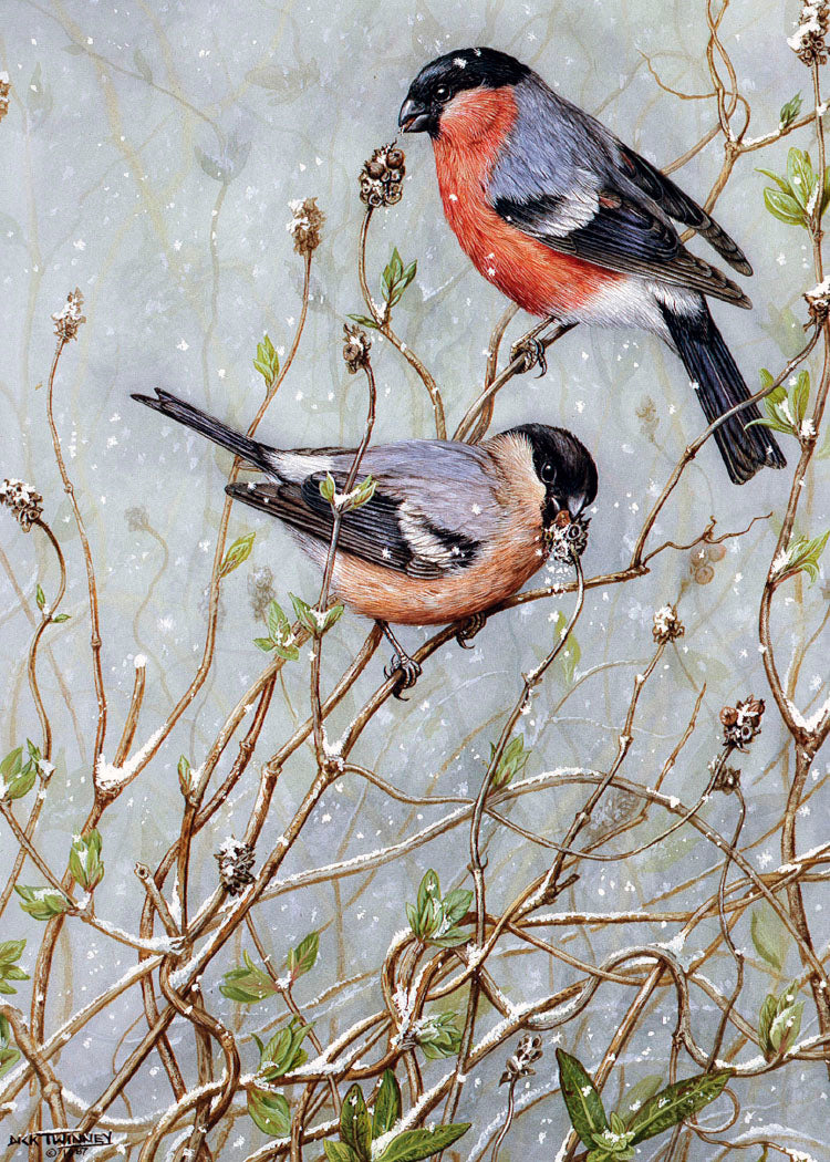 Bullfinches and Honeysuckle Bird Christmas Card by Dick Twinney ...